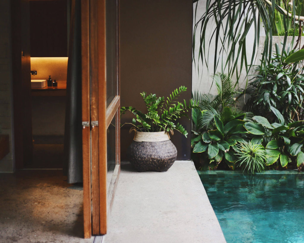 How to Release Energetic Clutter and Create Space for Your Dreams ...