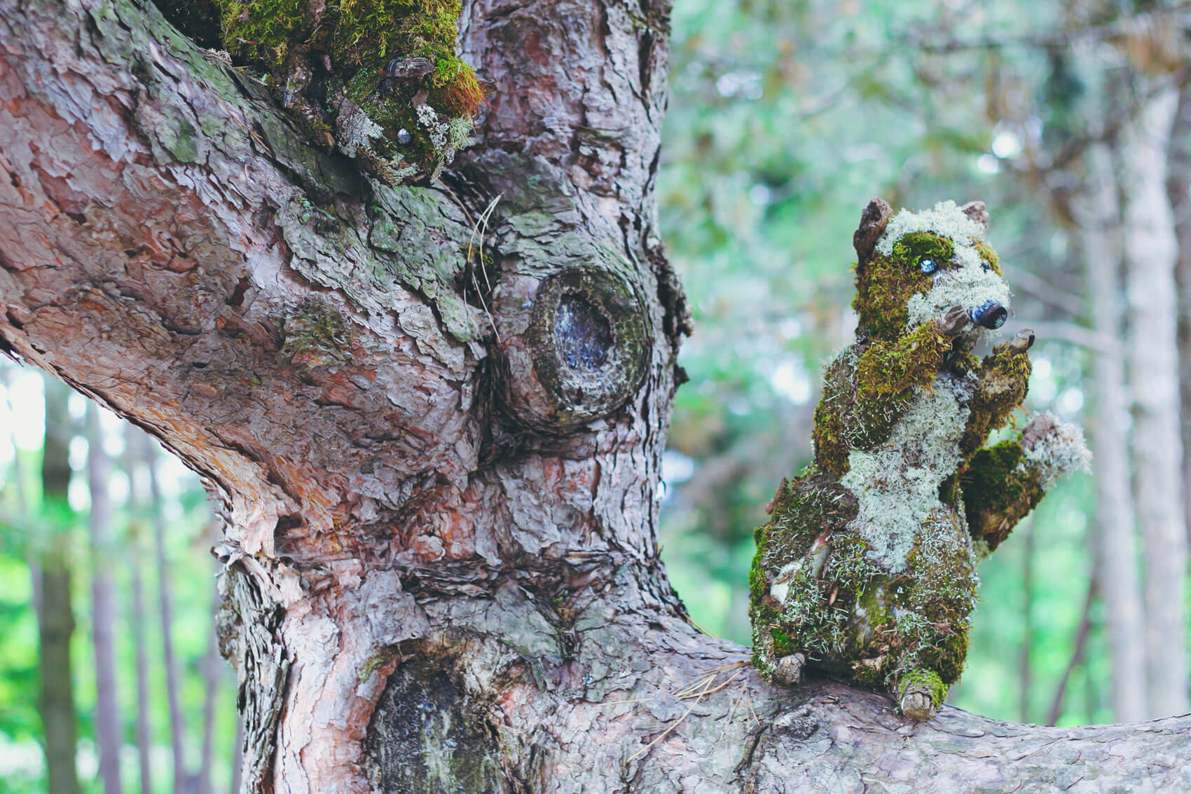 How to Quiet Mind Chatter to Receive Spiritual Guidance • Sara Monk