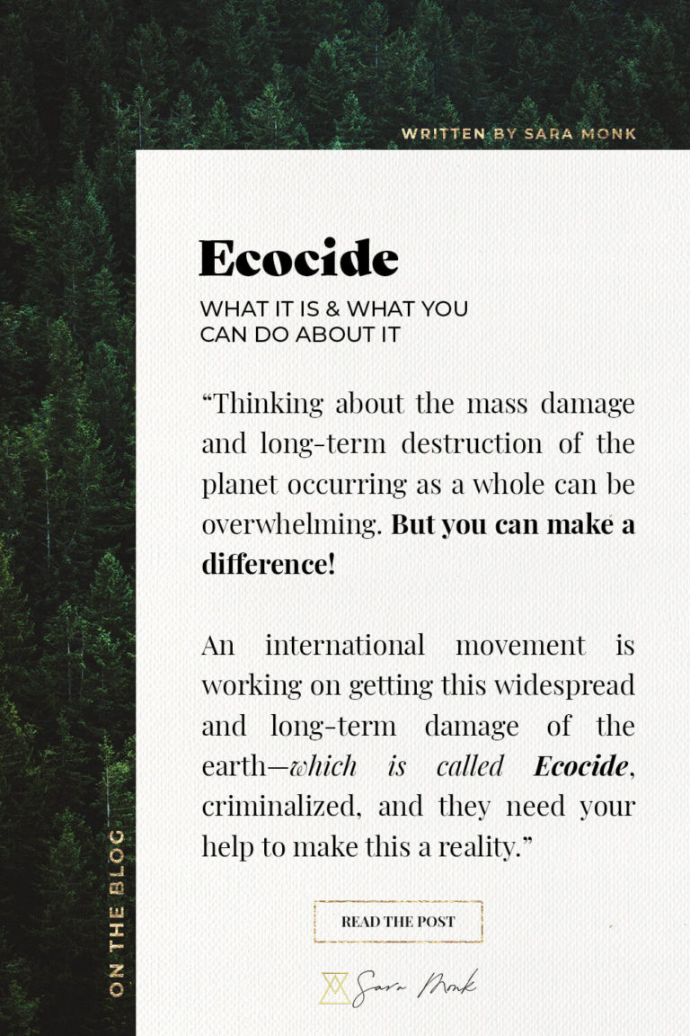 Ecocide: What it means and what you can do about it • Sara Monk